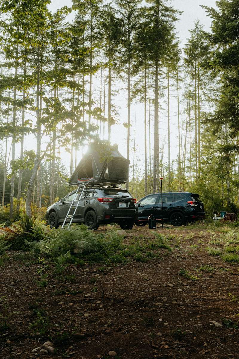 Christmas Tree Ridge - Hipcamp in Belfair, Washington