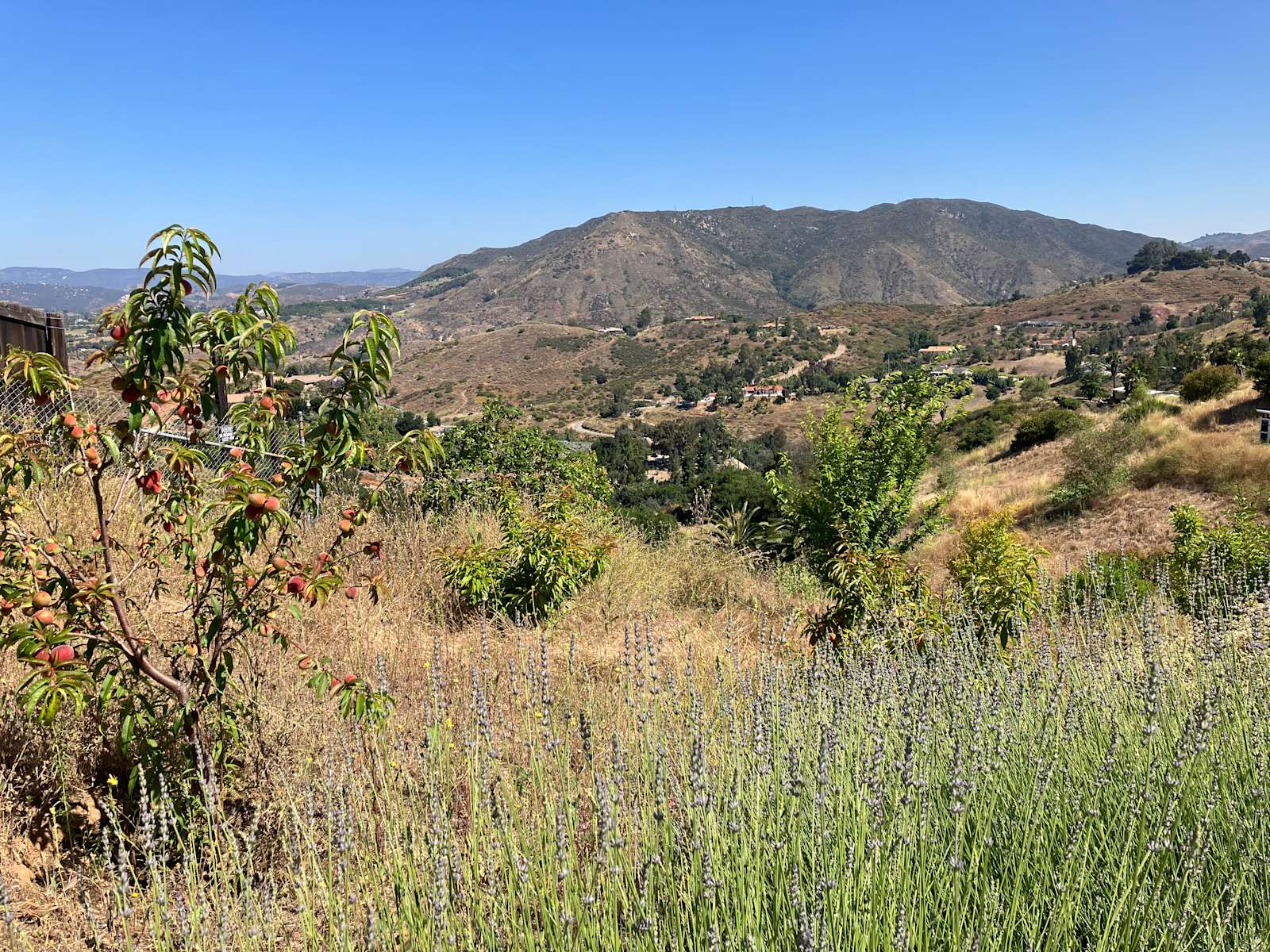 Santa Margarita River Valley Ranch - Hipcamp in Fallbrook, California
