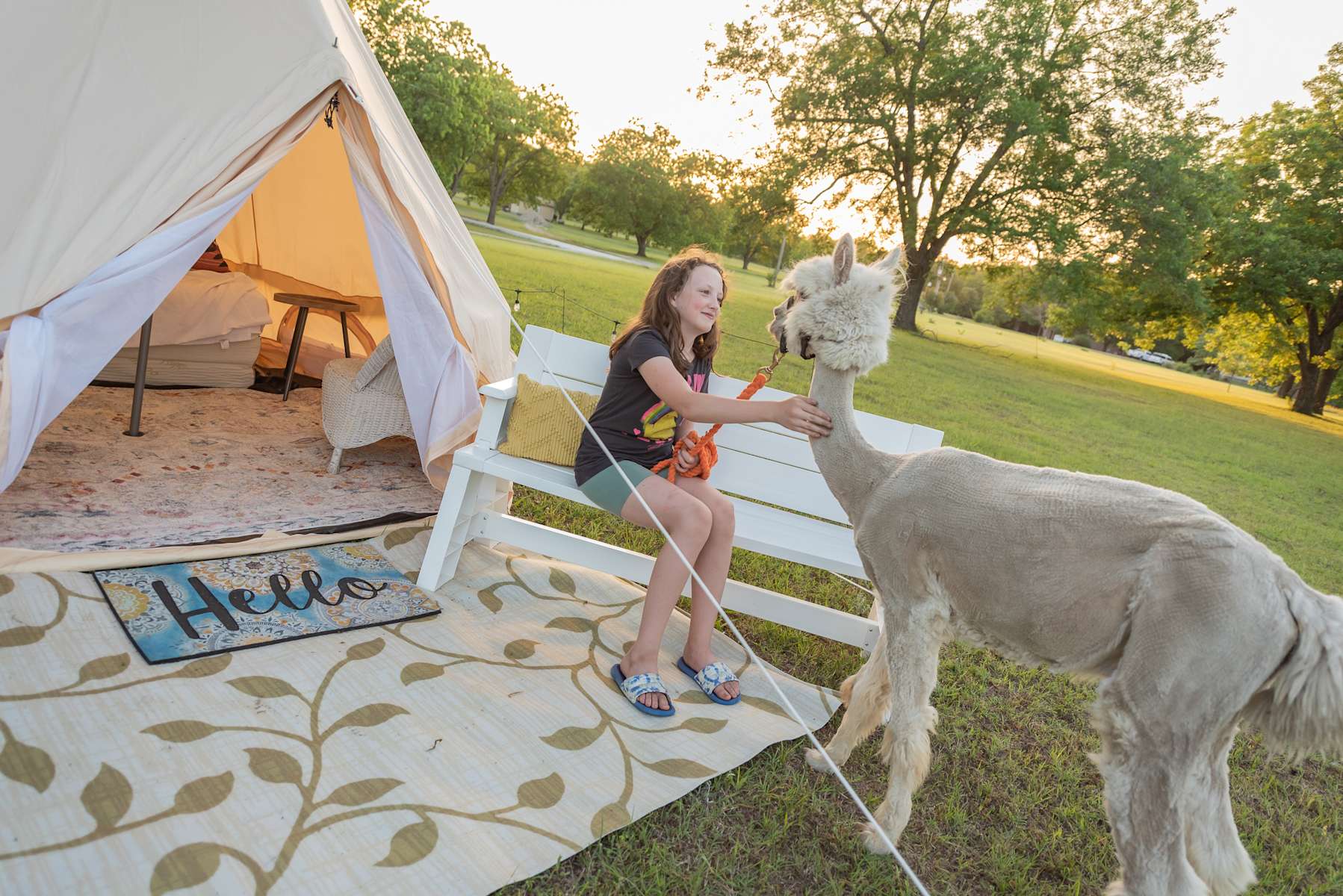 Gypsy Nighst at Mana Farm Davis - Hipcamp in Davis, Oklahoma