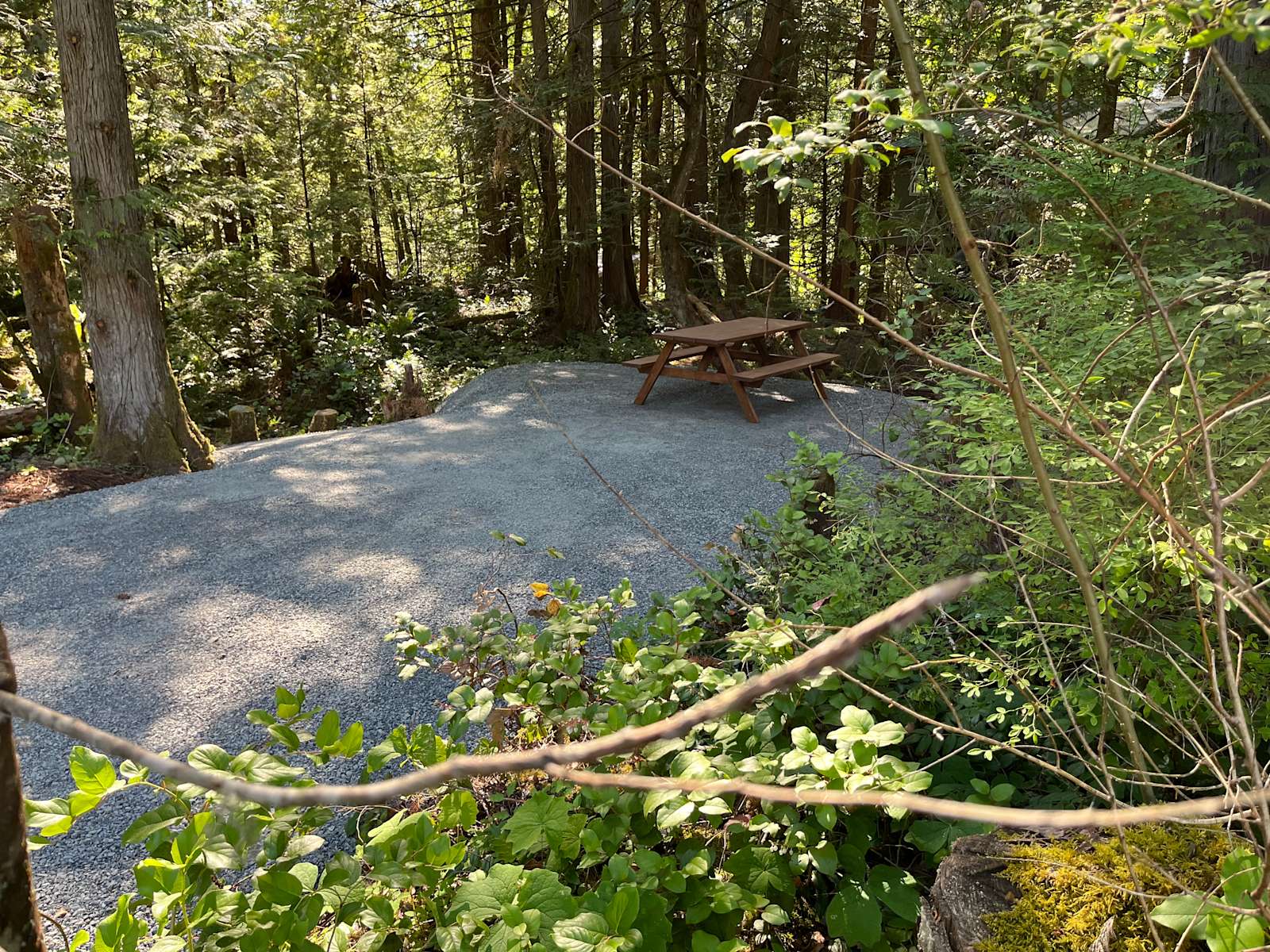 Forest Hideaway - Hipcamp in Duncan, British Columbia