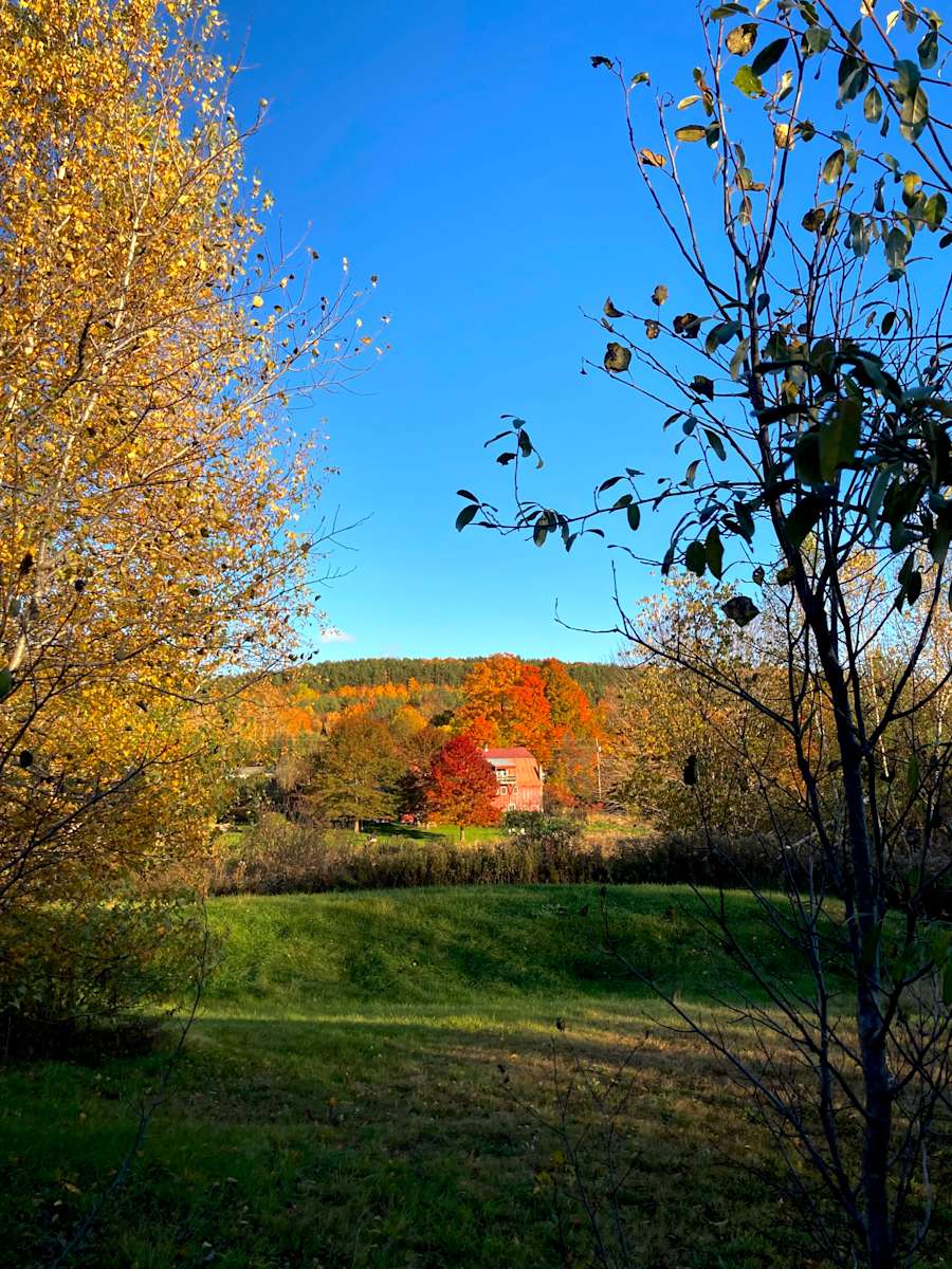 Wild Acres Farm - Hipcamp in Jericho, Vermont
