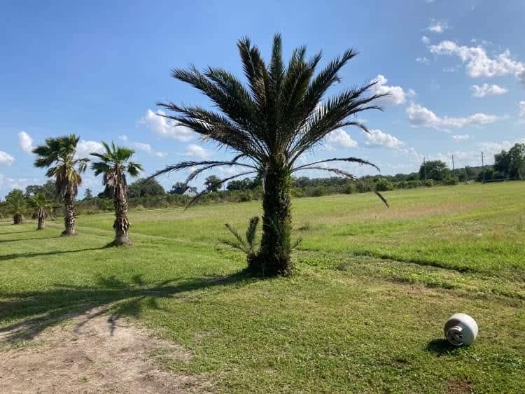 Pep's Place - Hipcamp in Montverde, Florida