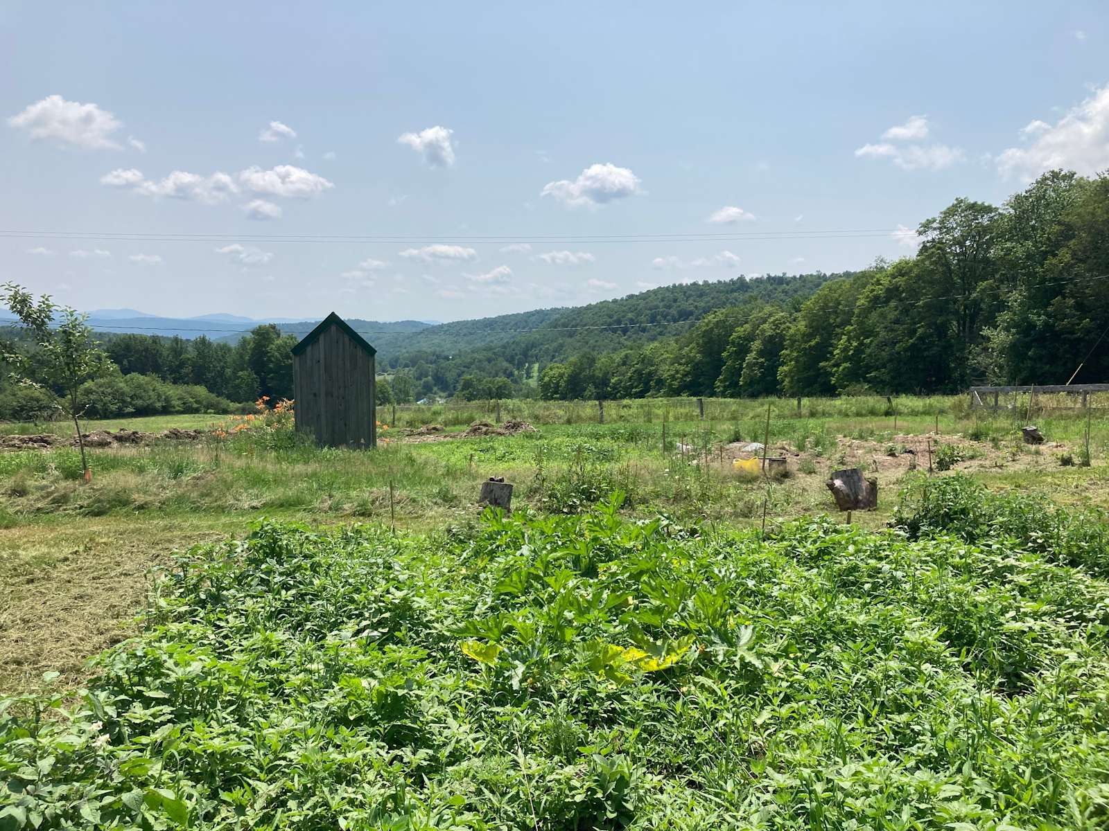 Mountain View Farm - Hipcamp in Worcester, New York