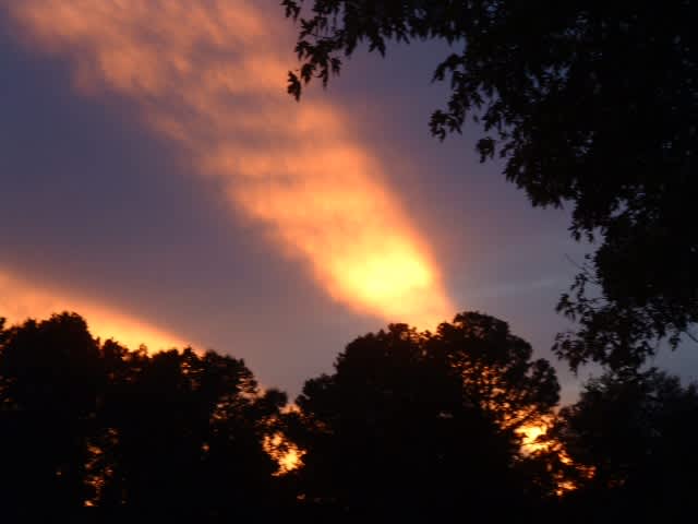 Vita's Freespirit Farm - Hipcamp in Turin, Georgia