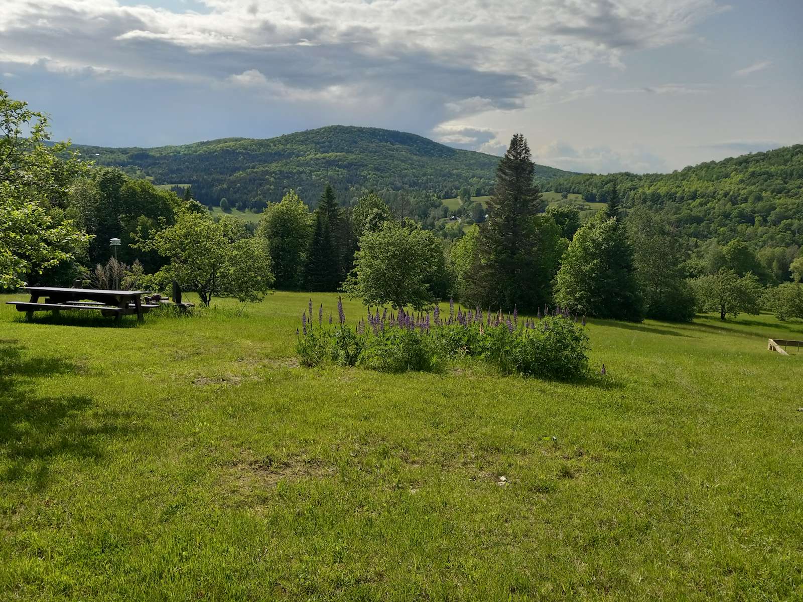 Allow Grace - Hipcamp in East Charleston, Vermont