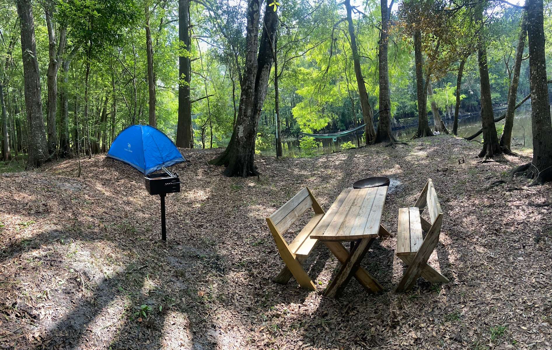 Primitive Island on Withlacoochee - Hipcamp in Hernando, Florida