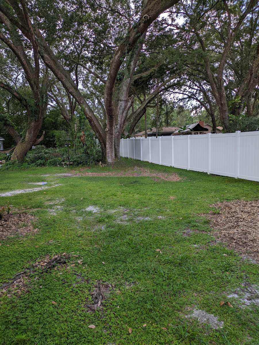 Moore Manor - Hipcamp in Lutz, Florida