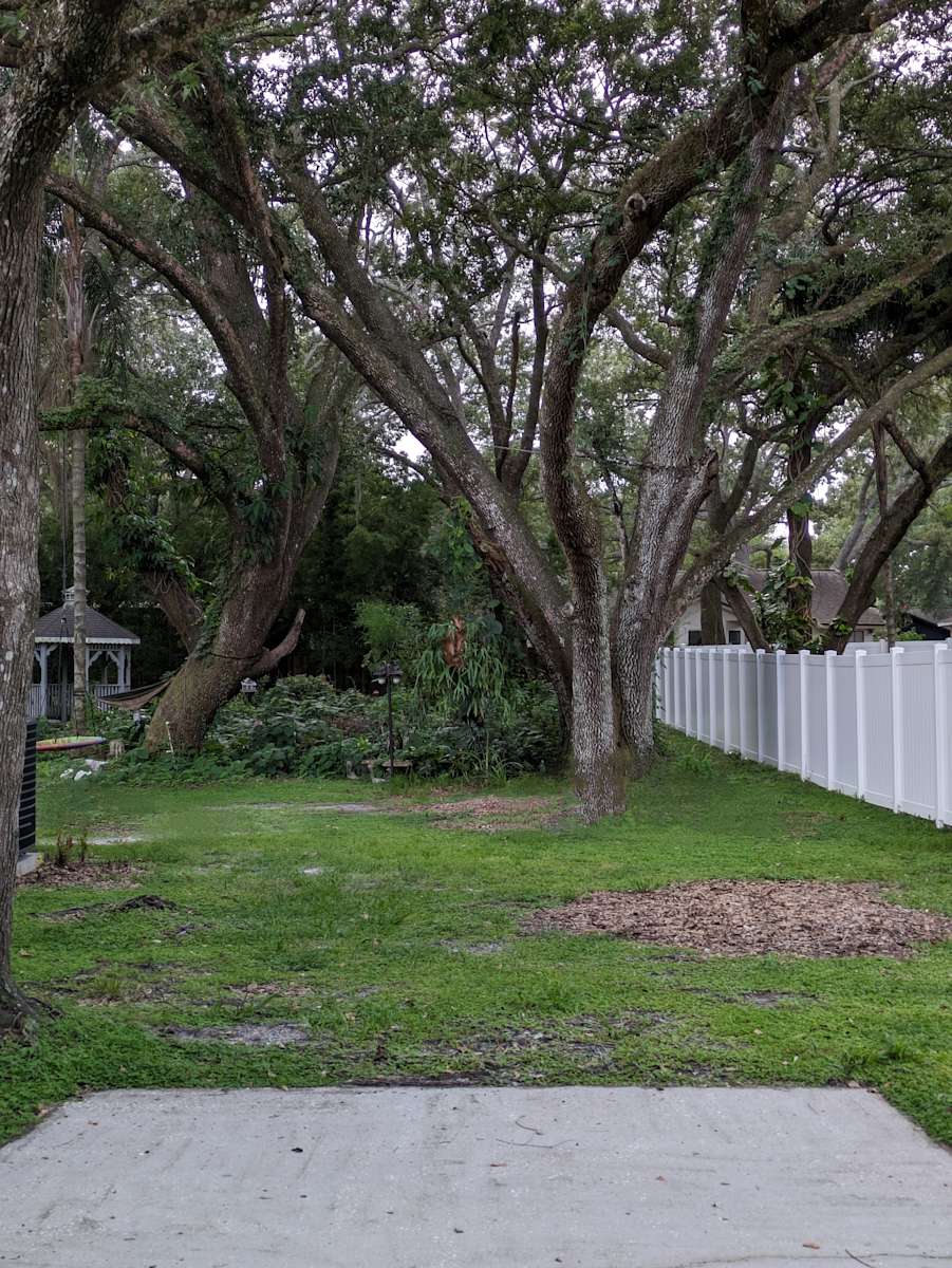 Moore Manor - Hipcamp in Lutz, Florida