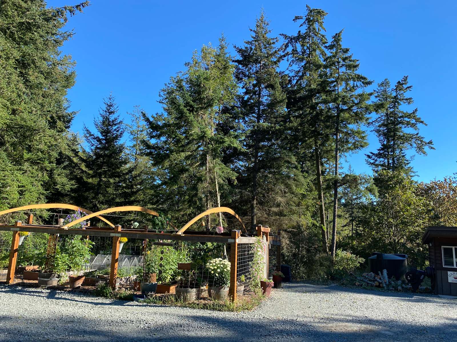 Cormorant Bay Getaway Stay - Hipcamp in Deer Harbor, Washington