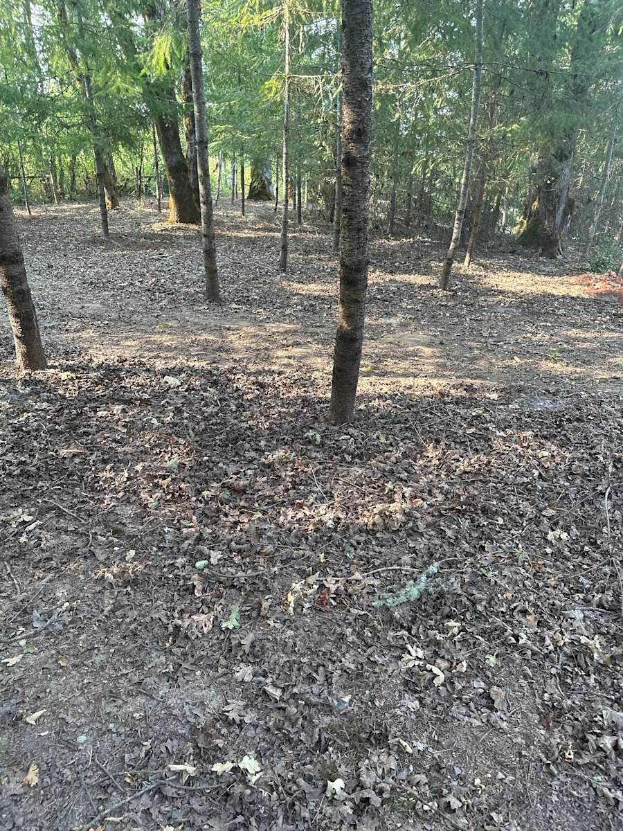 Razey acres - Hipcamp in Dallas, Oregon