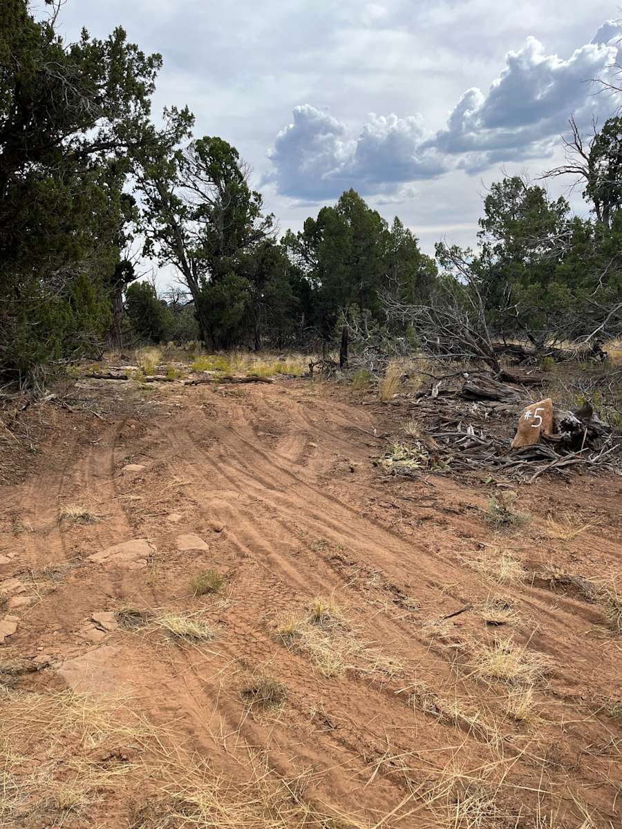 Fort Cedar - Hipcamp in Cahone, Colorado