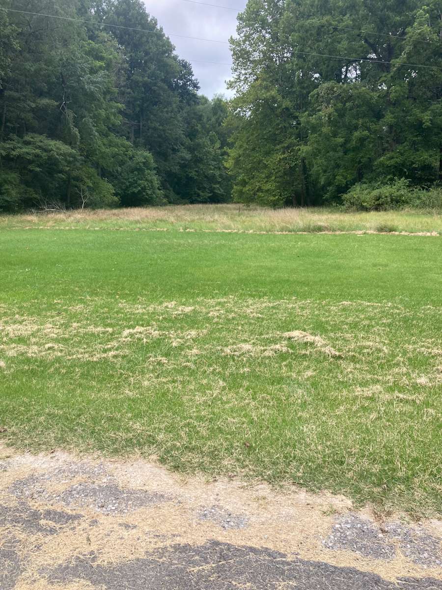 McShea's Land - Hipcamp in Fairmont, West Virginia