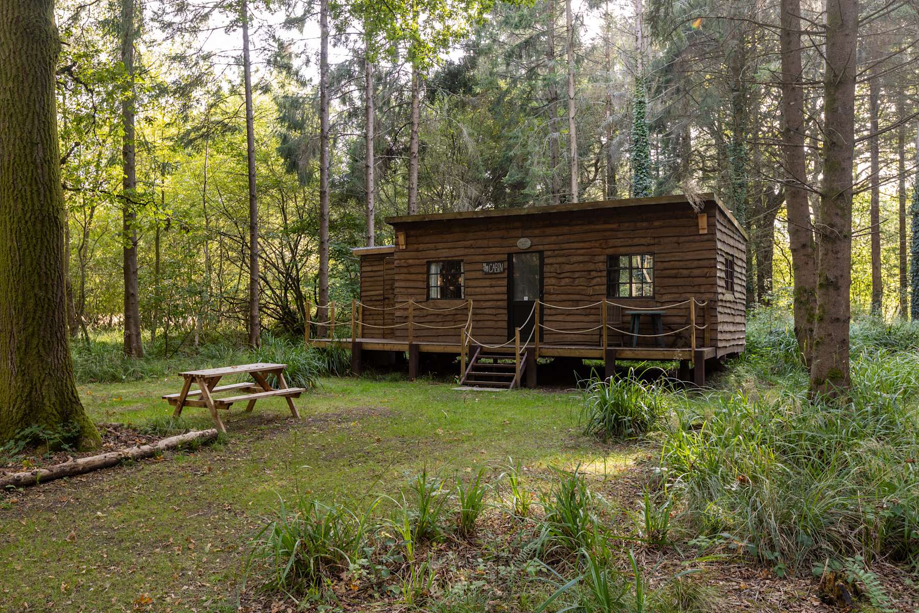 Bridgewood Camping - Woodland camps - Hipcamp in Dorset, England