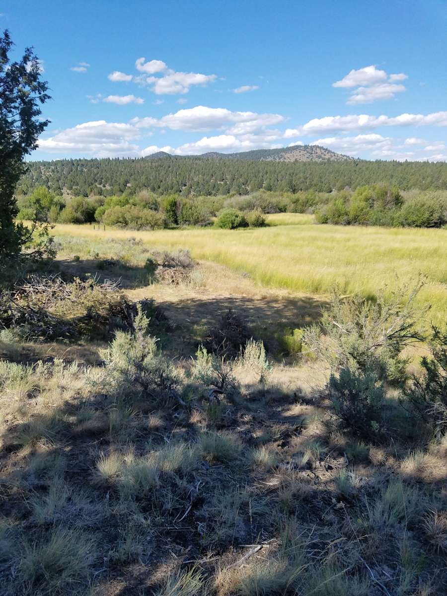 River Picnic - Hipcamp in Beatty, Oregon