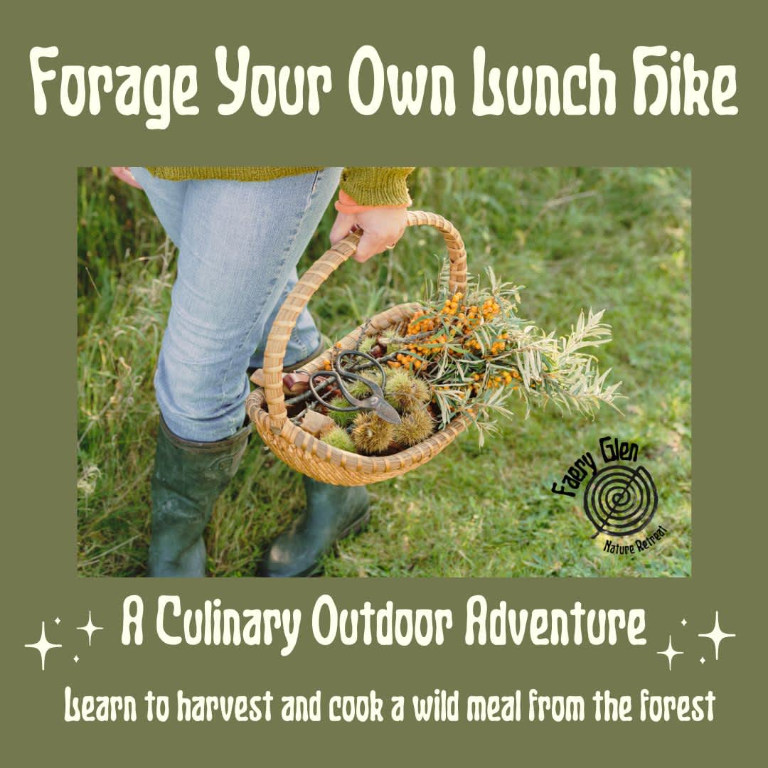 Foraged & Found Nature Retreat - Hipcamp in Burnsville, North Carolina