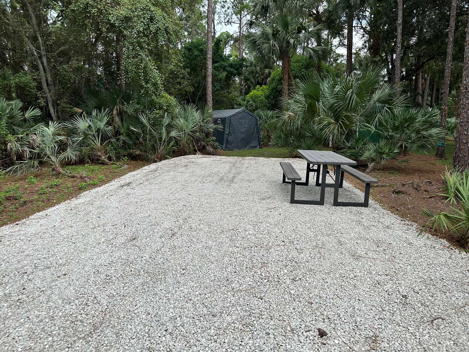 Molly Farm - Hipcamp in Jupiter Farms, Florida