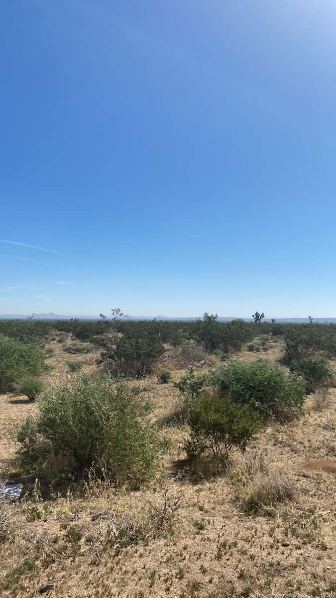 Desert Escape - hip camp - Hipcamp in Mojave, California