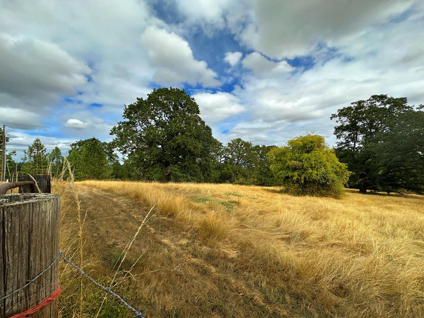 Ruby Rose Farms - Hipcamp in Yamhill, Oregon