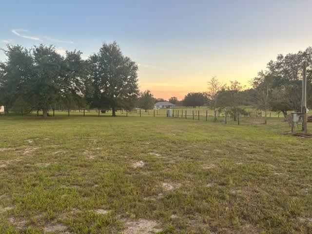 Touch of Heaven Farm - Hipcamp in Dunnellon, Florida