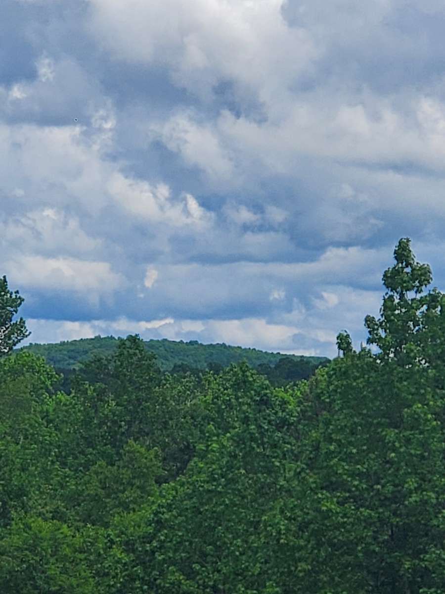 Shadow House Farm - Hipcamp in Denton, North Carolina