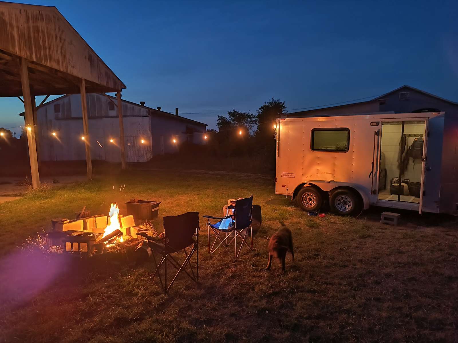 Sand Lily Farms - Hipcamp in Pullman, Michigan
