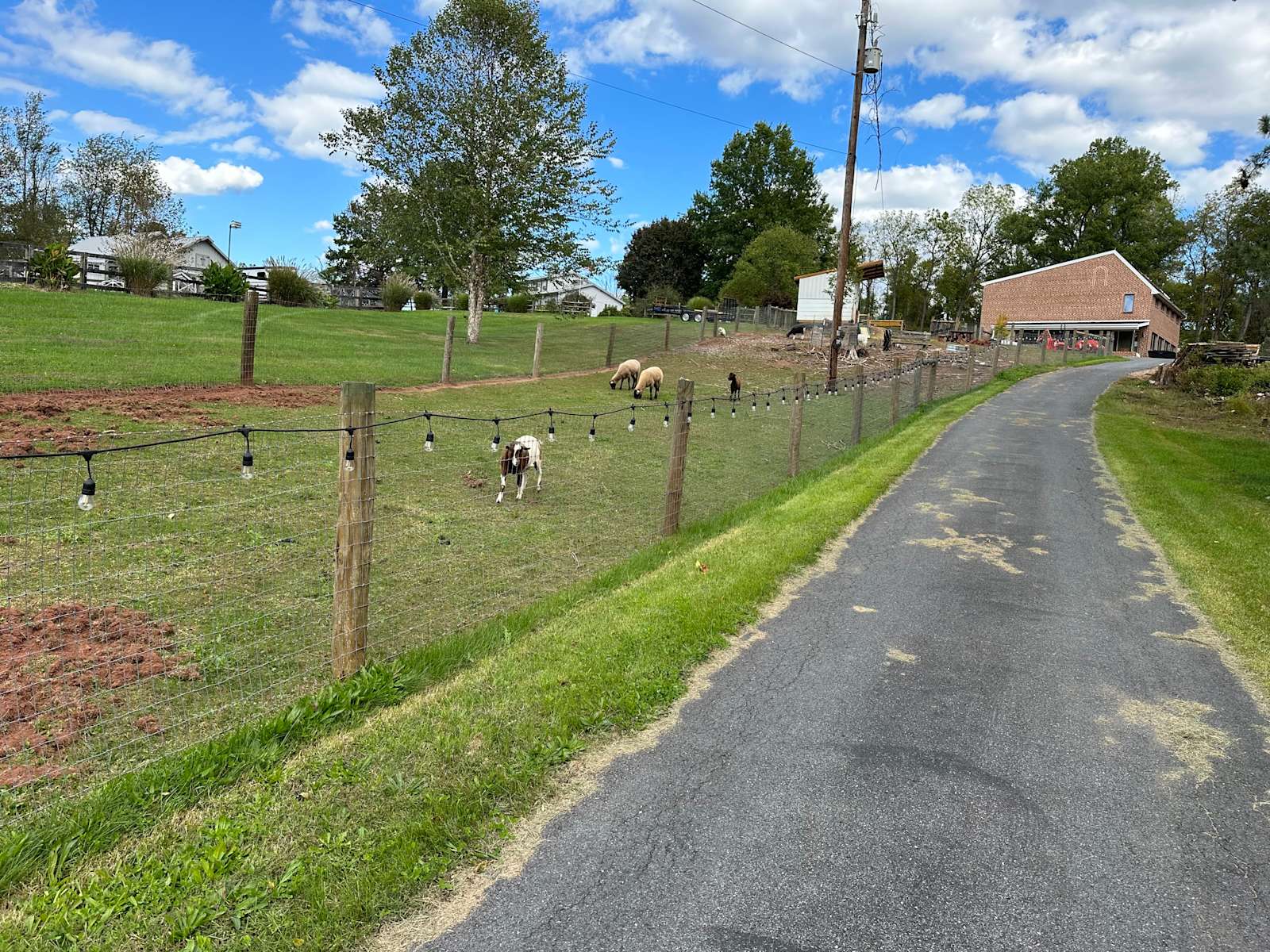 Forever Home Farm Sanctuary - Hipcamp in Mechanicsburg, Pennsylvania