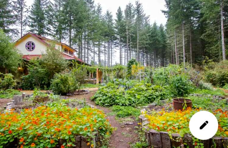 Two Frog Bog - Hipcamp in Roy, Washington