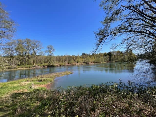 Cowlitz River Camping - Hipcamp in Castle Rock, Washington