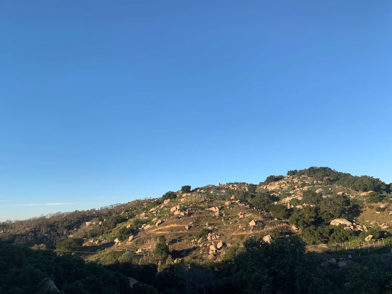 Pepper Family Farm - Hipcamp in Fallbrook, California