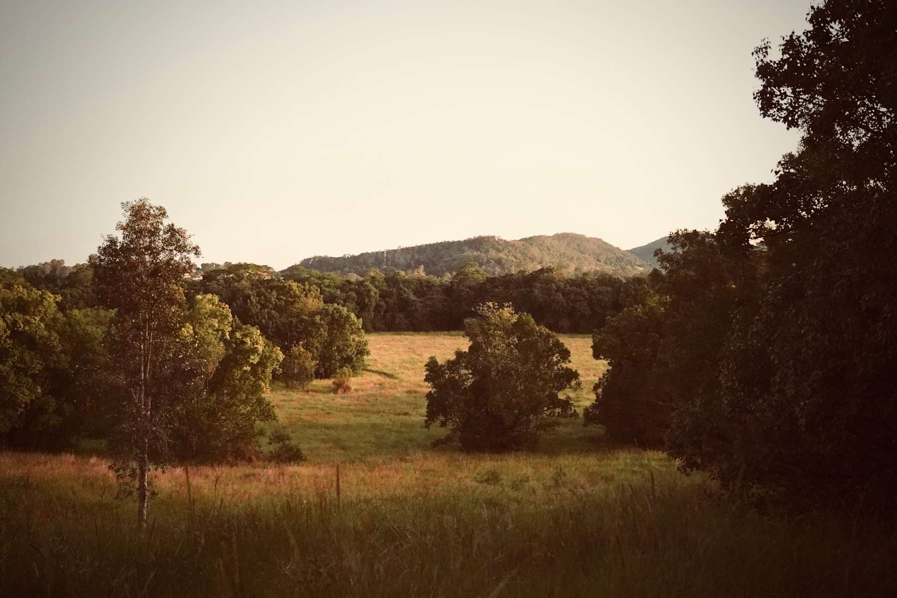 Dar'ali Estate - Hipcamp in Eumundi, Queensland