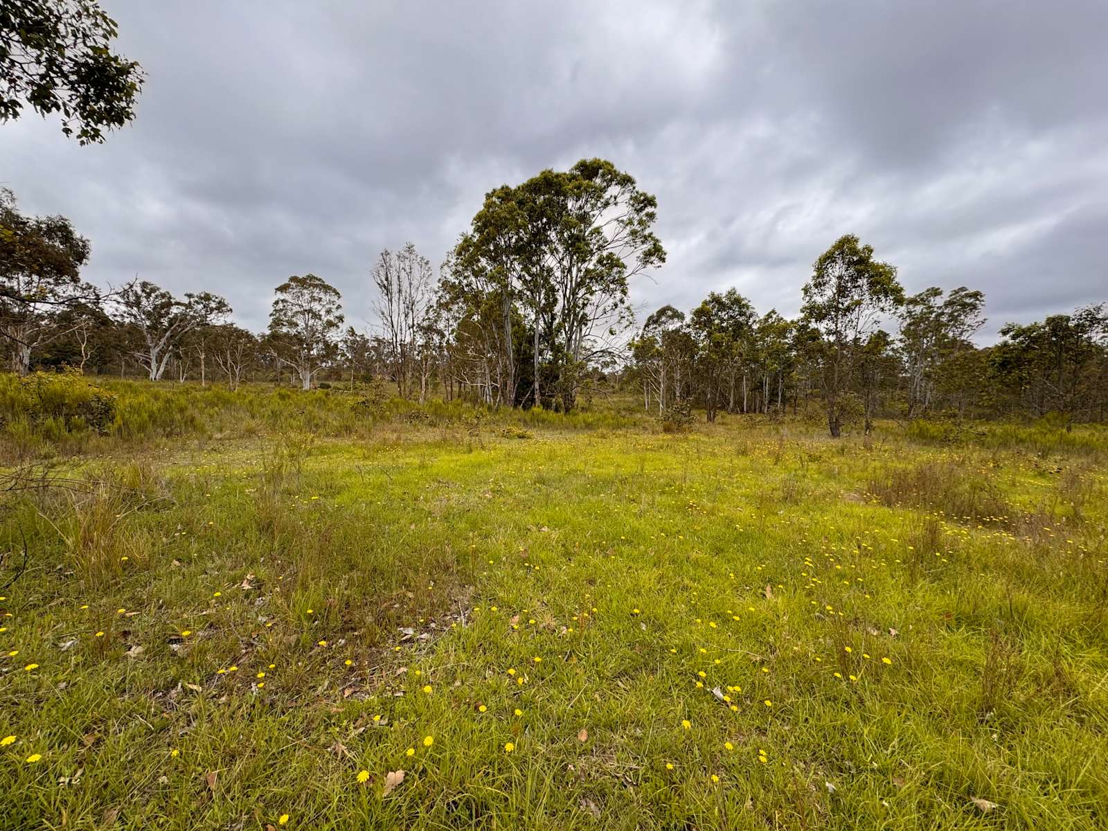 Gundungurra Rest - Hipcamp in Windellama, New South Wales
