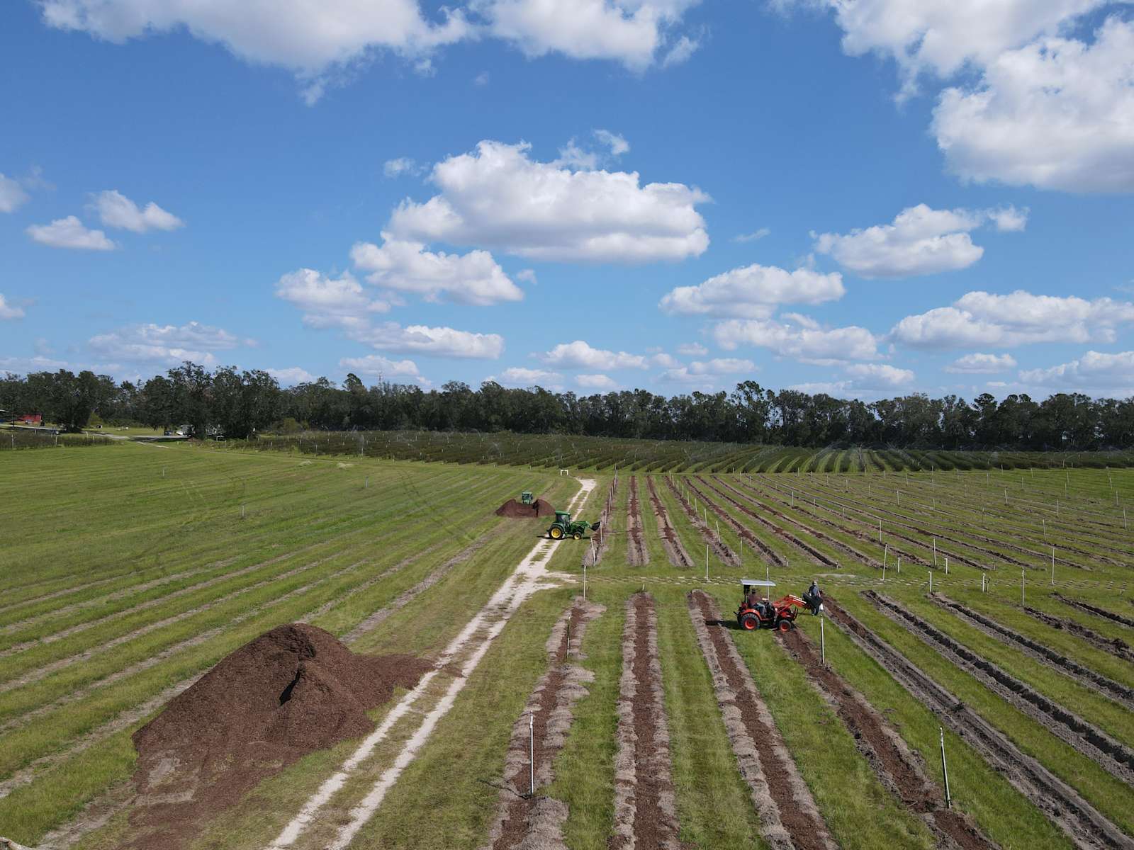 Allison Acres Blueberry Farm - Hipcamp in Pinetta, Florida
