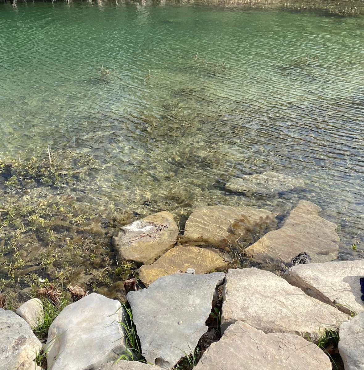 Secret Blanco River Camping - Hipcamp in San Marcos, Texas