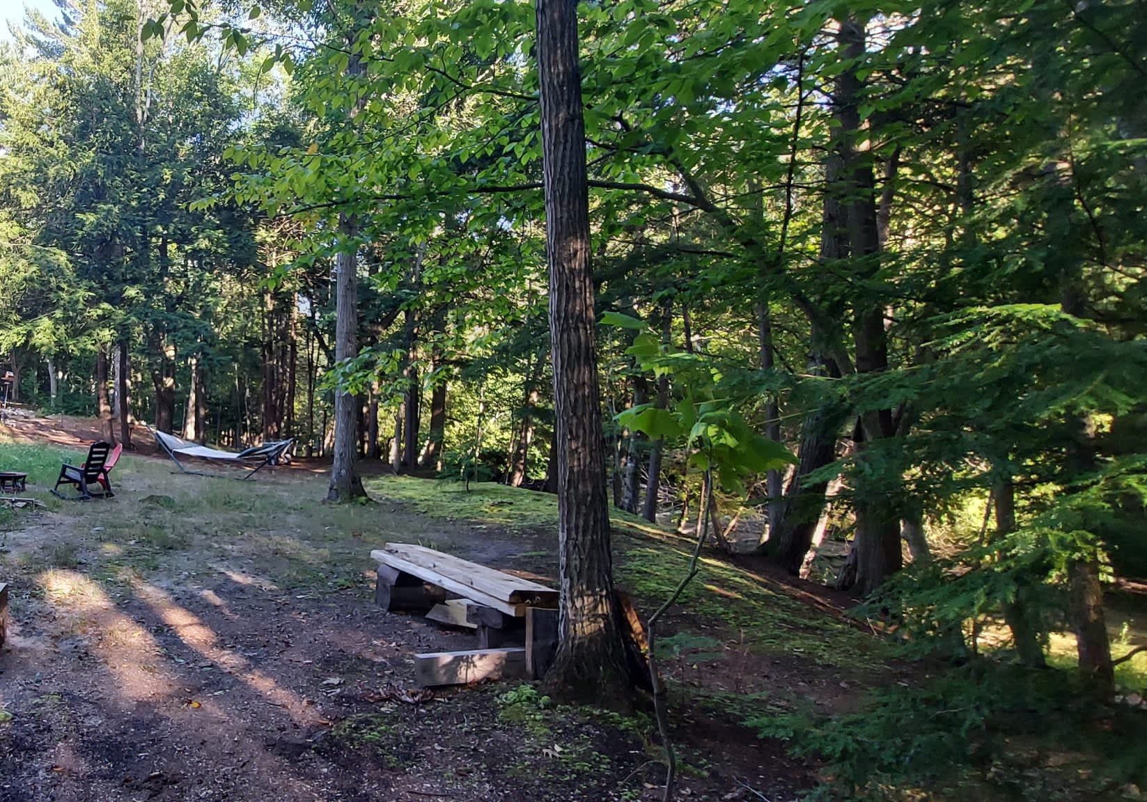 Up a Creek in Maple City Campsite - Hipcamp in Maple City, Michigan