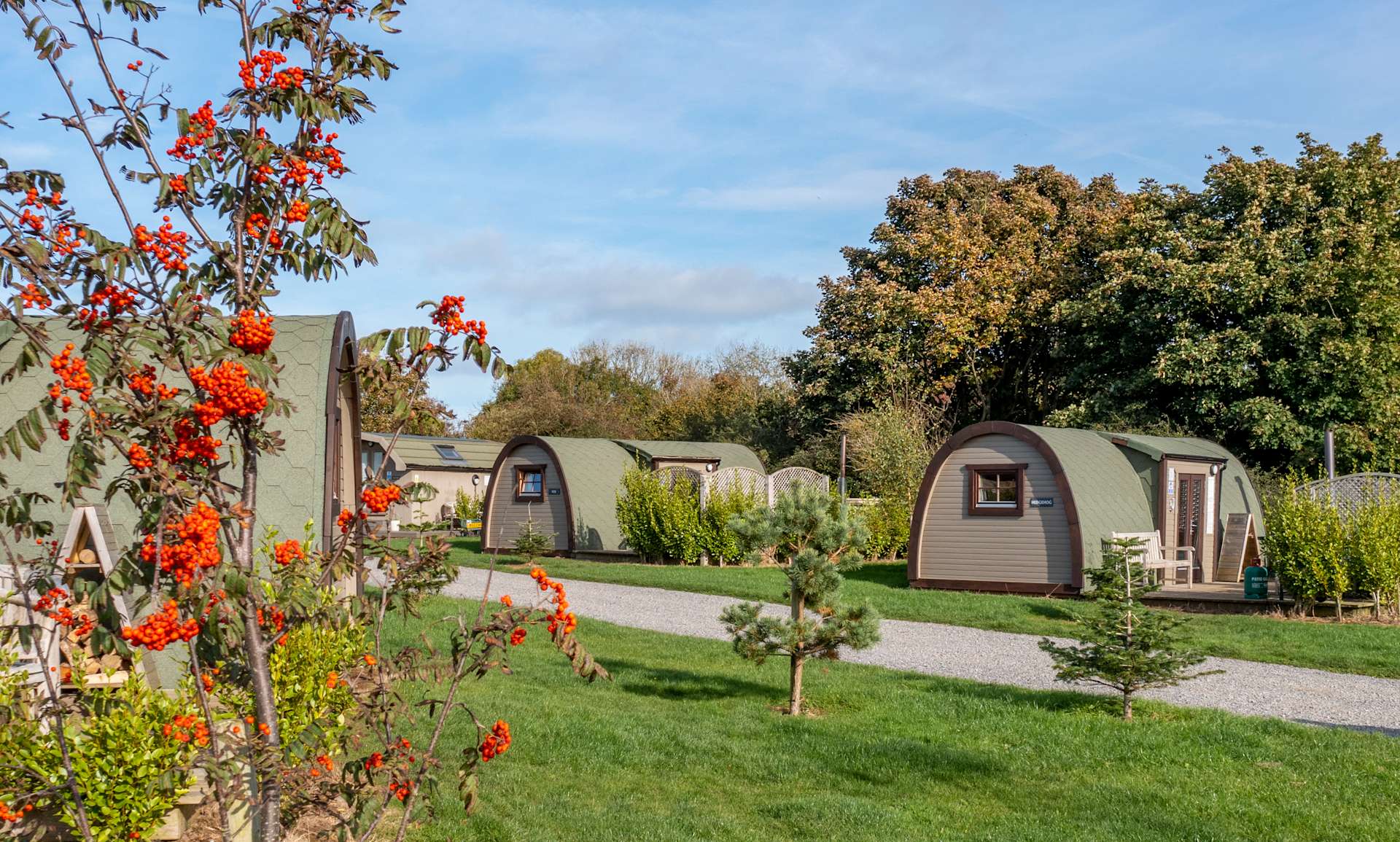 Brynteg Glamp - Hipcamp in Brynteg, Wales