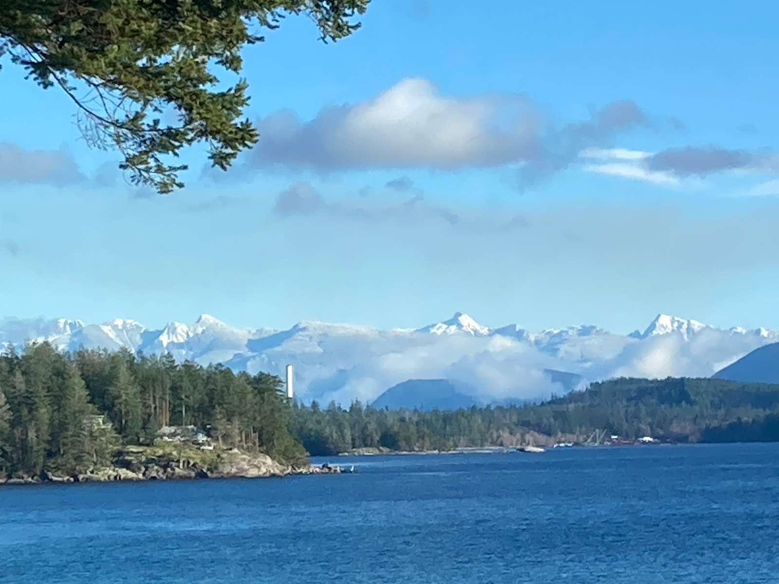Ocean Pearl - Hipcamp in Powell River, British Columbia