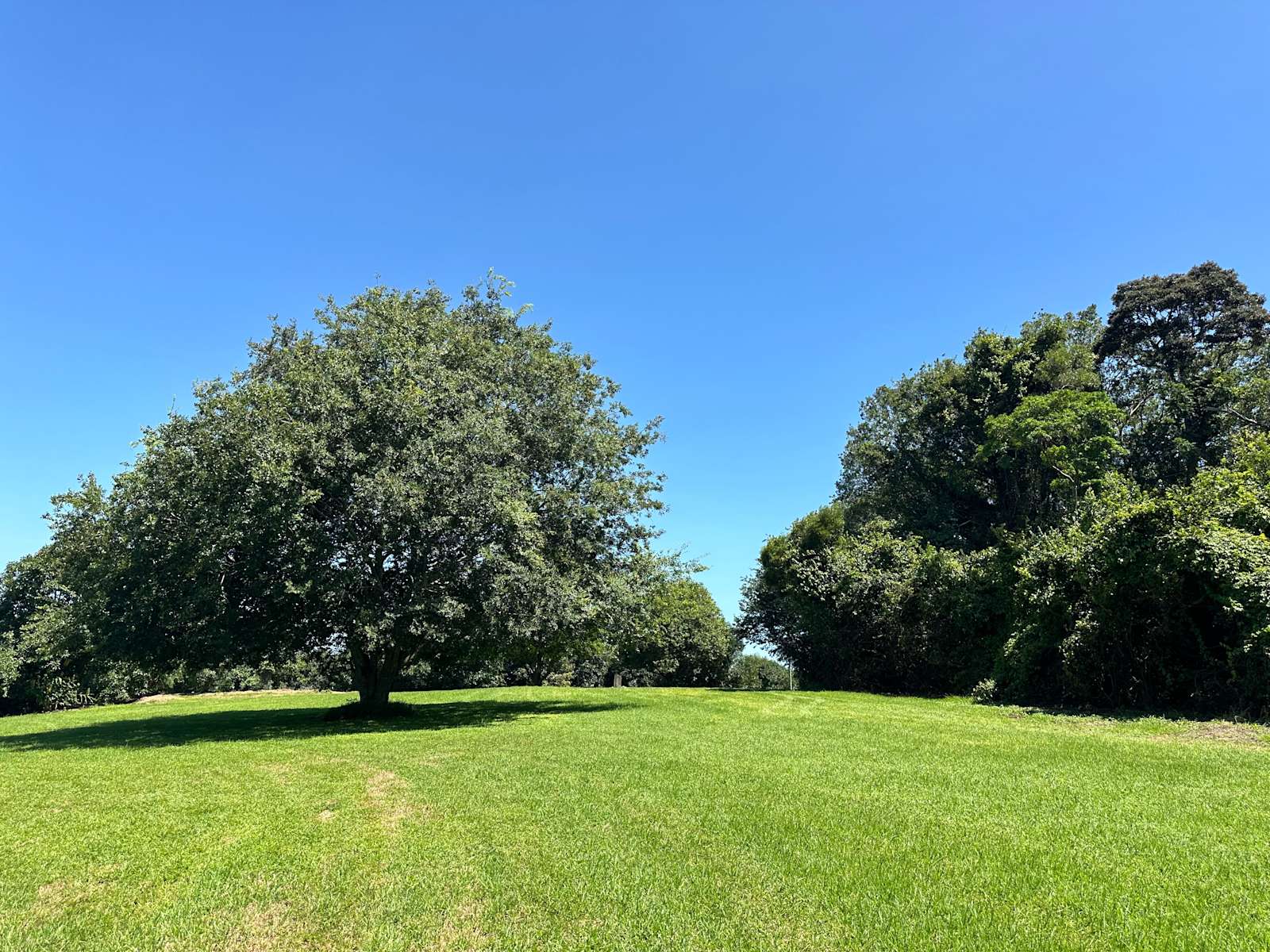 Tremayne - The Old Avocado Farm - Hipcamp in Bellthorpe, Queensland