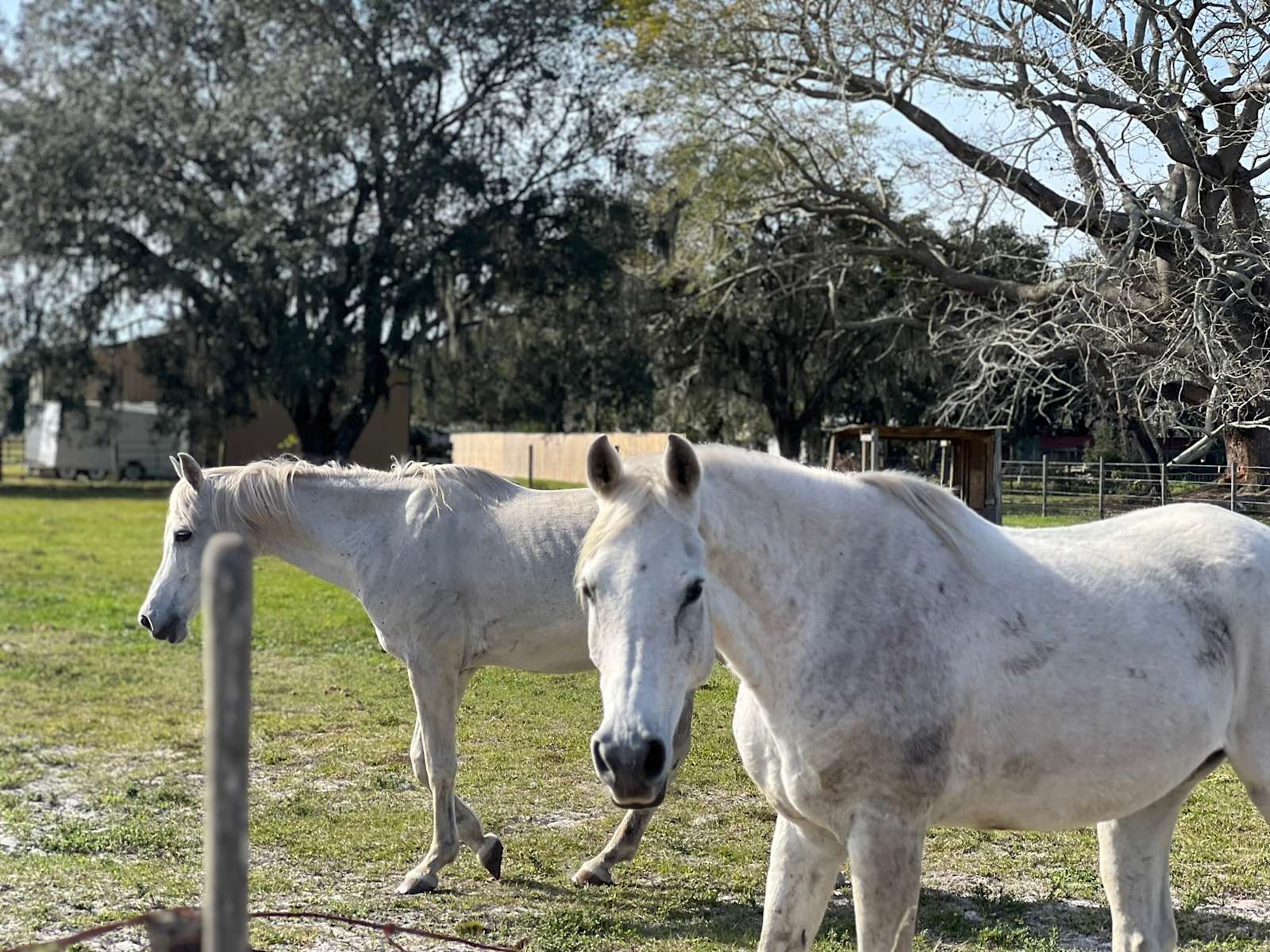 K&E Farms - Hipcamp in Saint Cloud, Florida