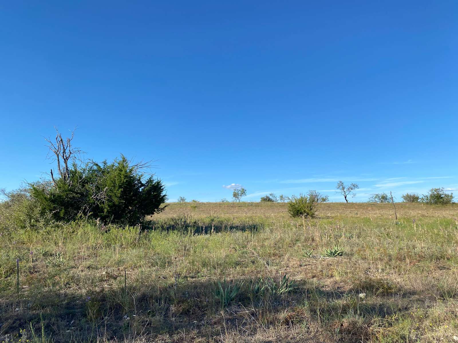 WG Groves Ranch-Solar Eclipse - Hipcamp in Lampasas, Texas