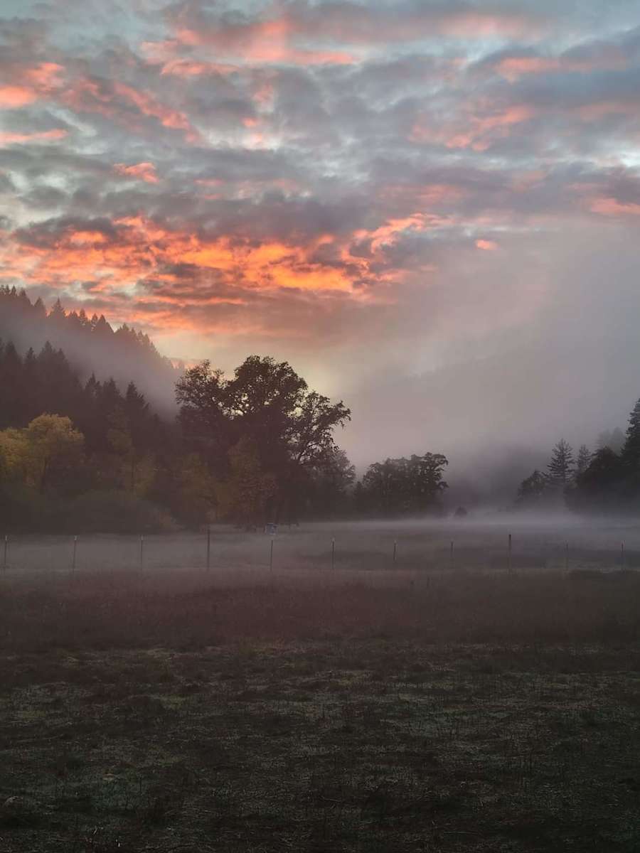 Primal Lands at OZ Family Farm - Hipcamp in Willits, California