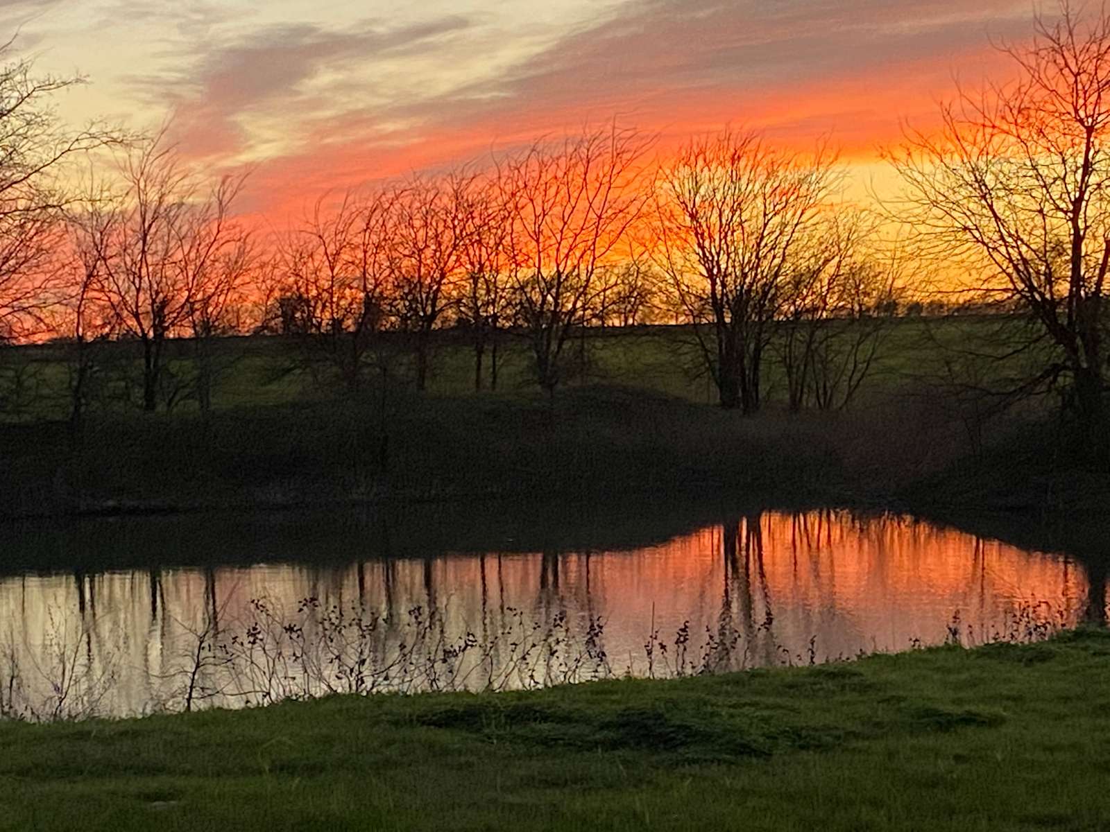 Dark Sky Camping at Waste Not Farm - Hipcamp in Troy, Texas