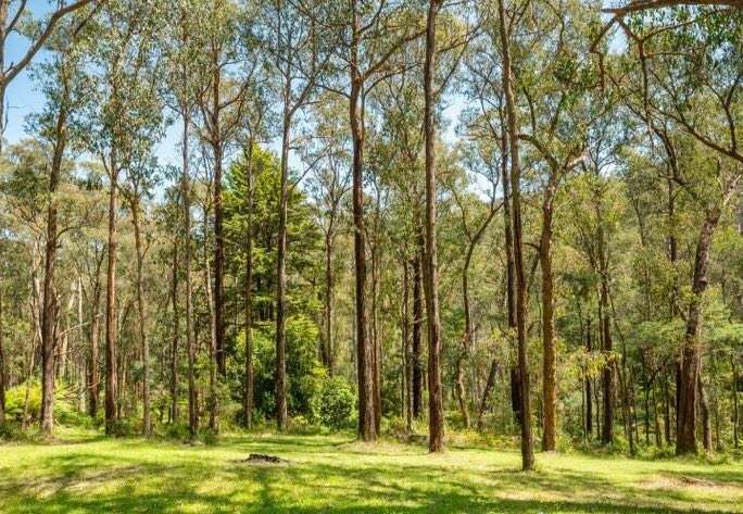 Tranquil Forest River Campsites - Hipcamp in Reefton, Victoria