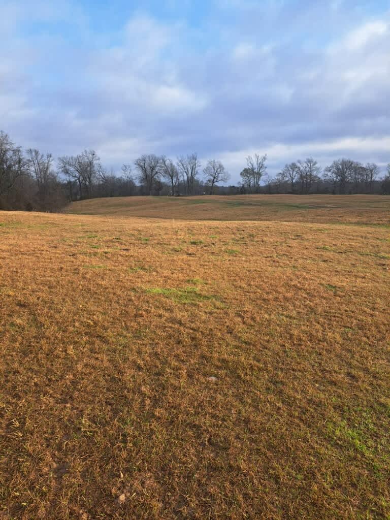 Eclipse: Prime Viewing Zone - Hipcamp in Cookville, Texas