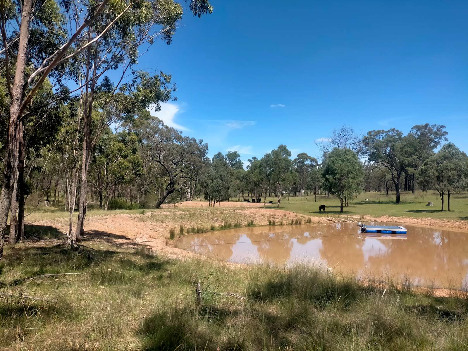 Booie-Dell. - Hipcamp in Wildash, Queensland
