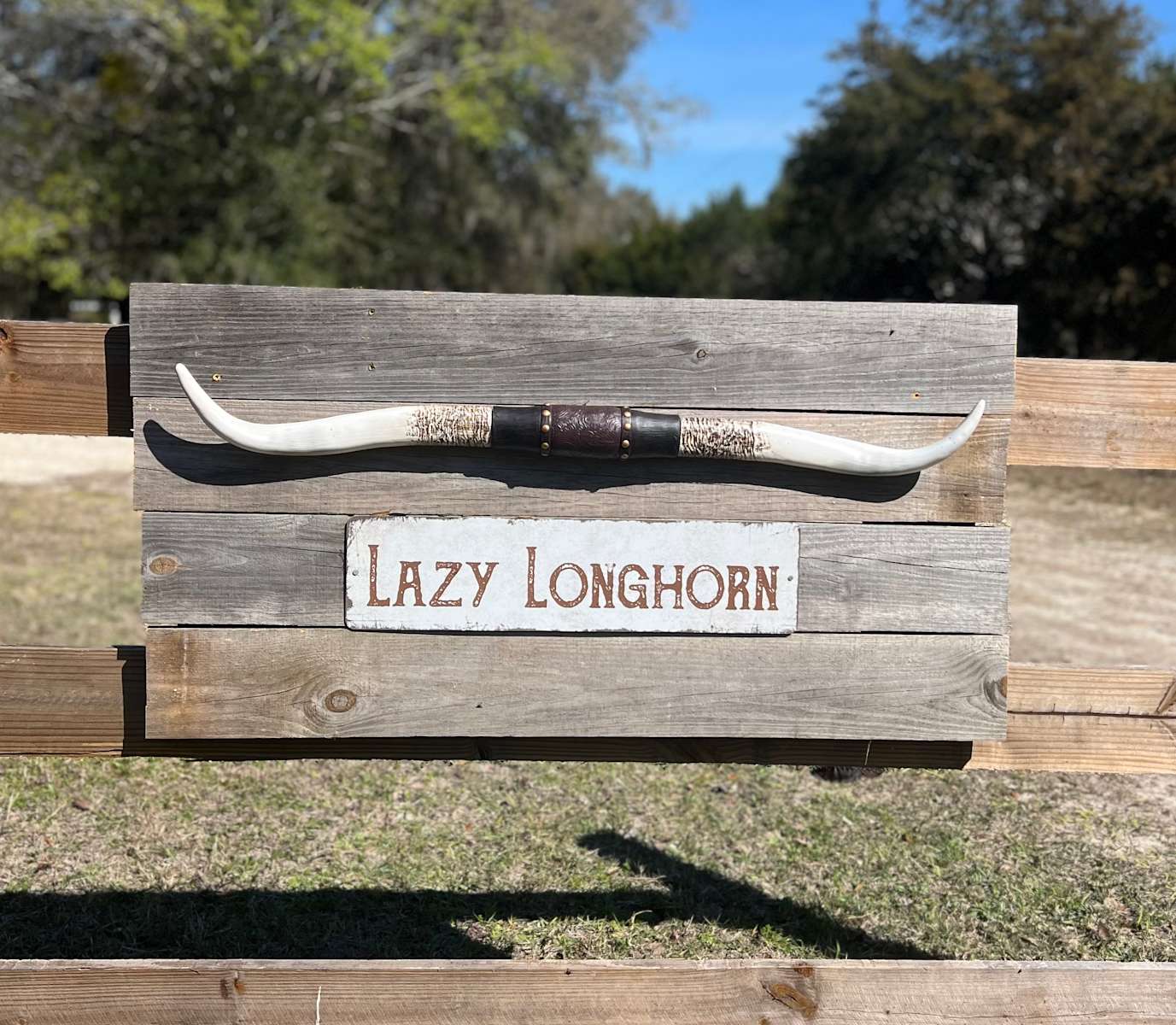 Lazy Longhorn - Hipcamp in Citrus Springs, Florida