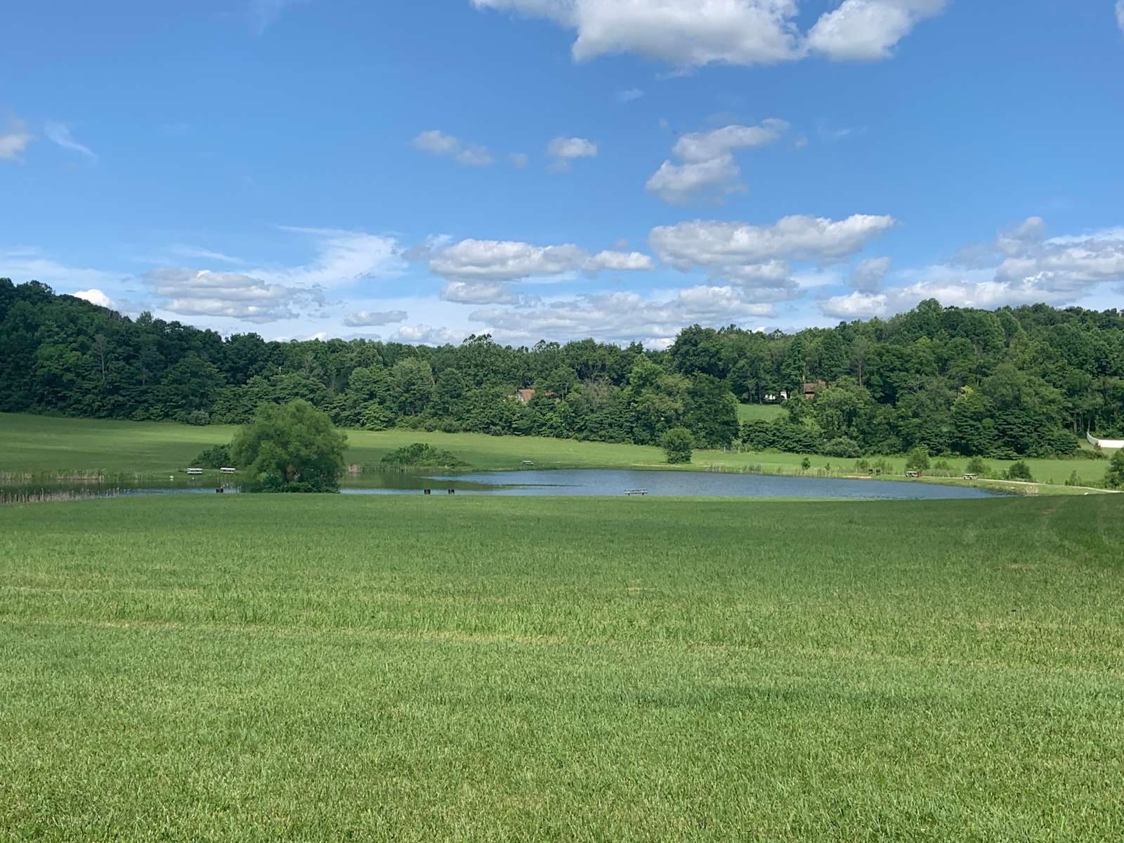 Skyview Meadow At Spencer Pay Lake - Hipcamp in Spencer, Indiana
