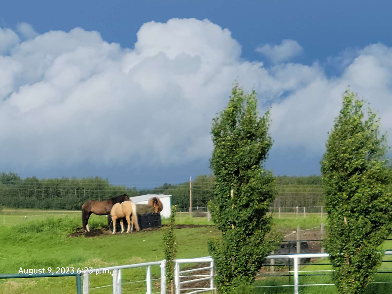 Remuda Horse Ranch - Hipcamp in Edson, Alberta