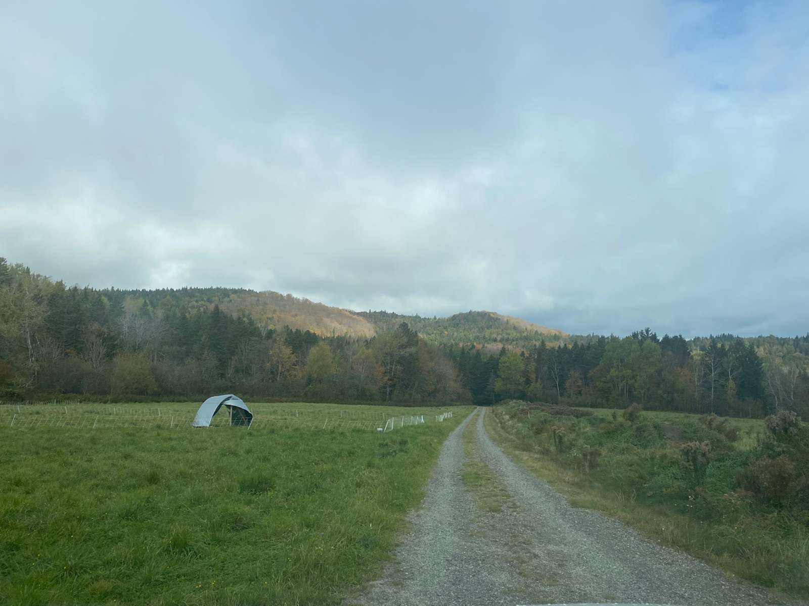 Beach Hill Meadow - Hipcamp in West Glover, Vermont