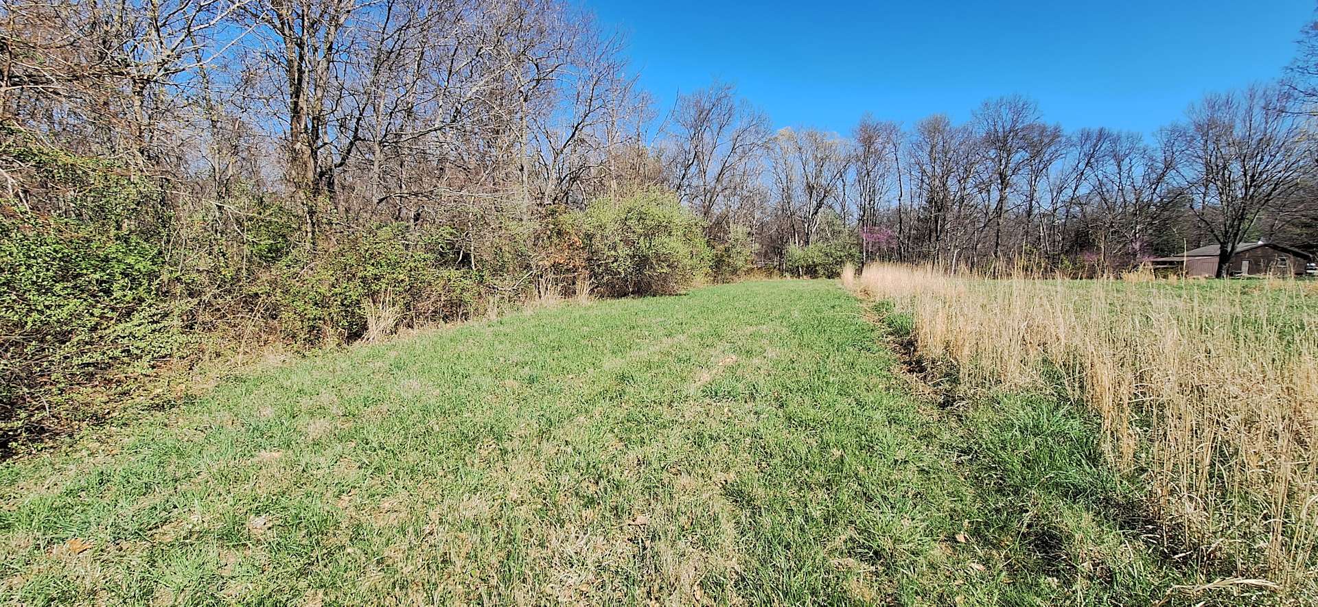 Eclipse at The Corner Hay Field - Hipcamp in Bluford, Illinois