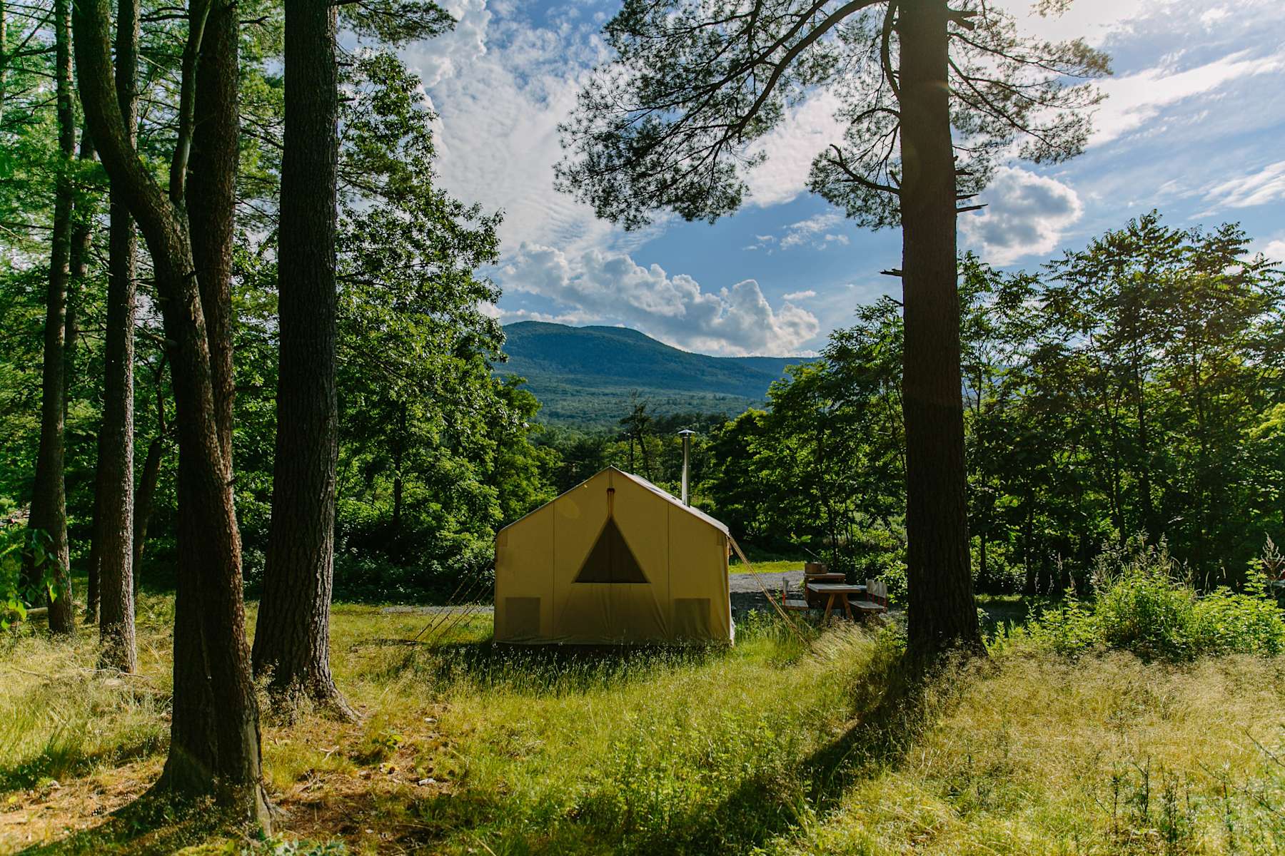 The Old Catskill Game Farm Zoo - Hipcamp in Catskill, New York